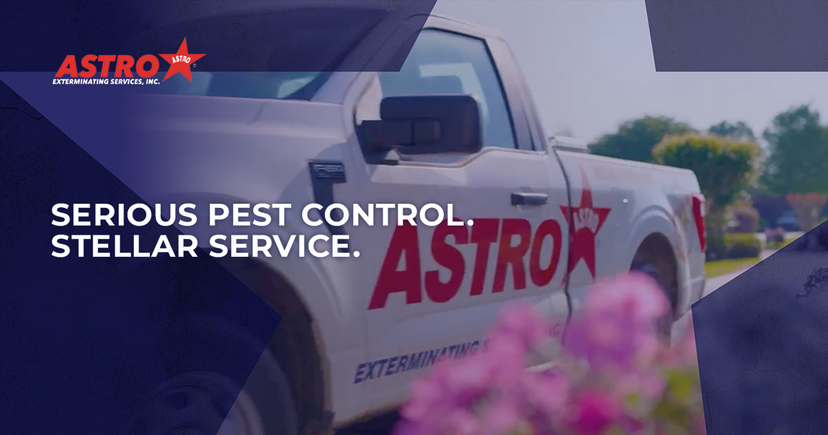 Valdosta Pest Control & Termite Services | Astro Exterminating Services